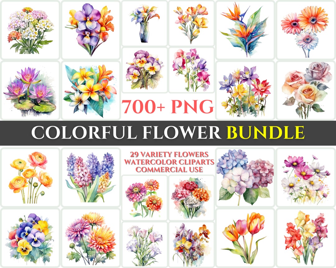 Colorful Flower Watercolor Clipart Bundle Blossom Image Romantic File ...