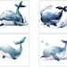 Watercolor Whale Clipart, Nursery Art PNG Bundle (digital Download) - Etsy