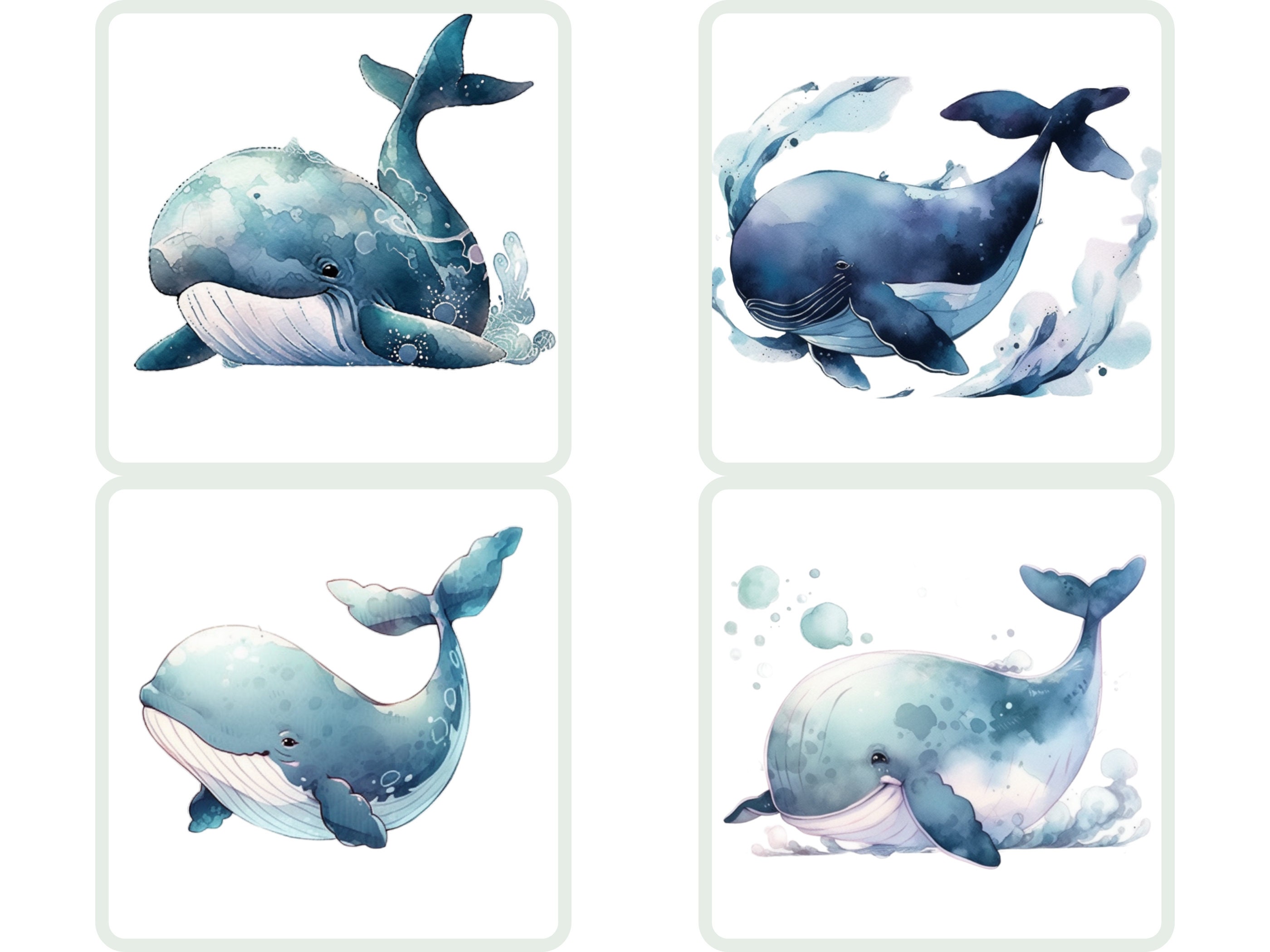 Watercolor Whale Clipart Whale PNG Bundle Whale Wallart Gift for ...