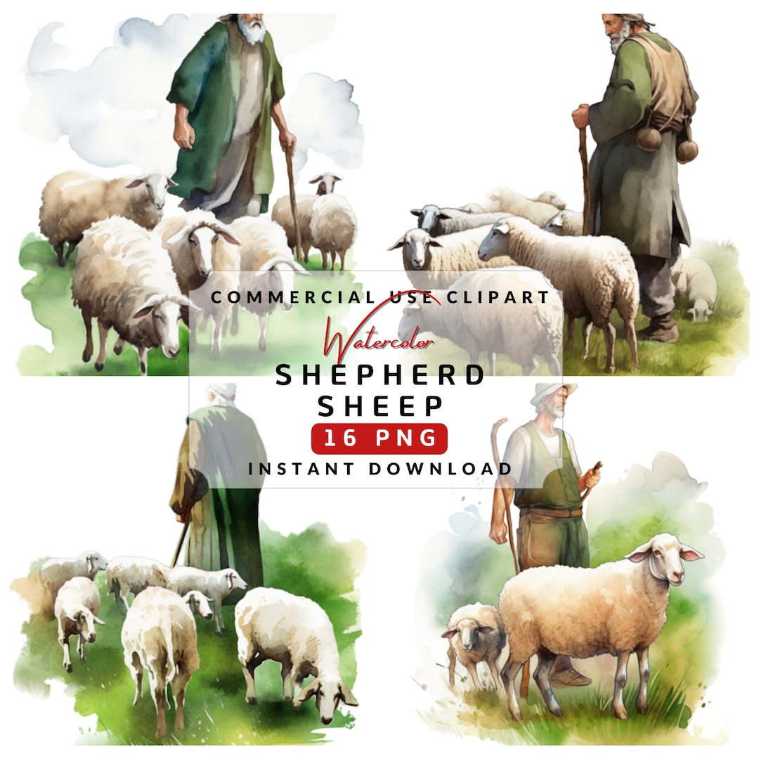 Shepherd Sheep Clipart PNG Watercolor Bundle Shepherd Sheep - Etsy