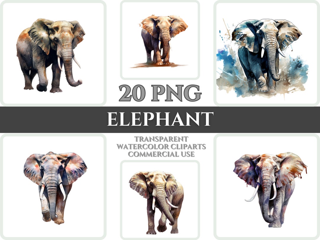 Watercolor Elephant Clipart Bundle Wallart PNG Elephant for Craft ...