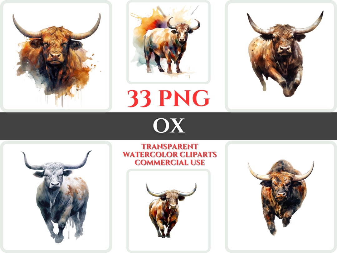 Watercolor Ox Clipart Bundle Wallart PNG Ox Gift for Craft Digital ...