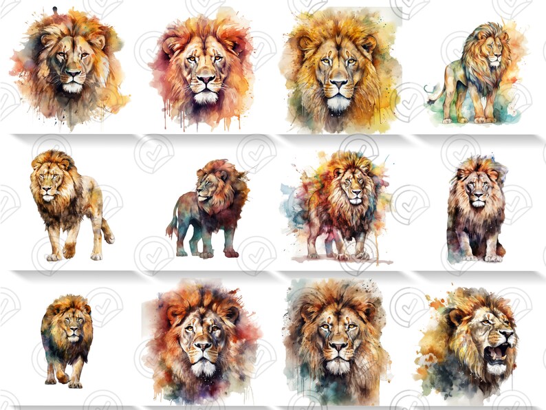 Watercolor Lion Clipart Lion PNG Bundle Lion Wallart Gift for - Etsy
