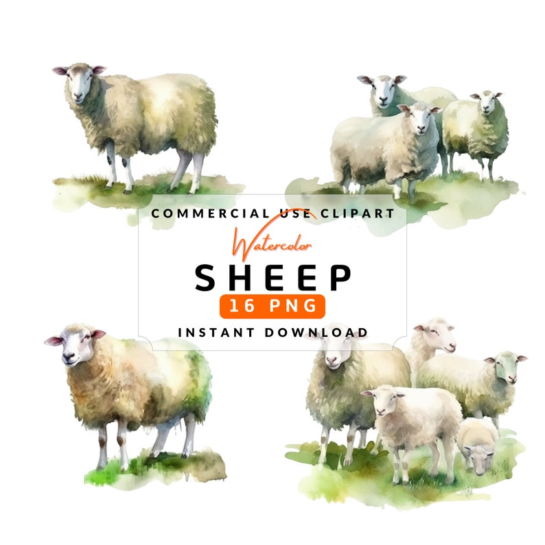 Watercolor Sheep Clipart Bundle Wallart PNG Sheep Gift for - Etsy