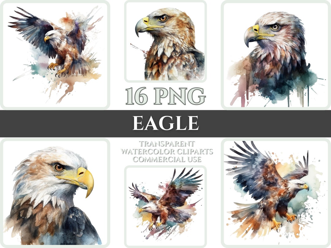 Watercolor Eagle Clipart Bundle Eagle PNG Eagle Gift for Nursery ...