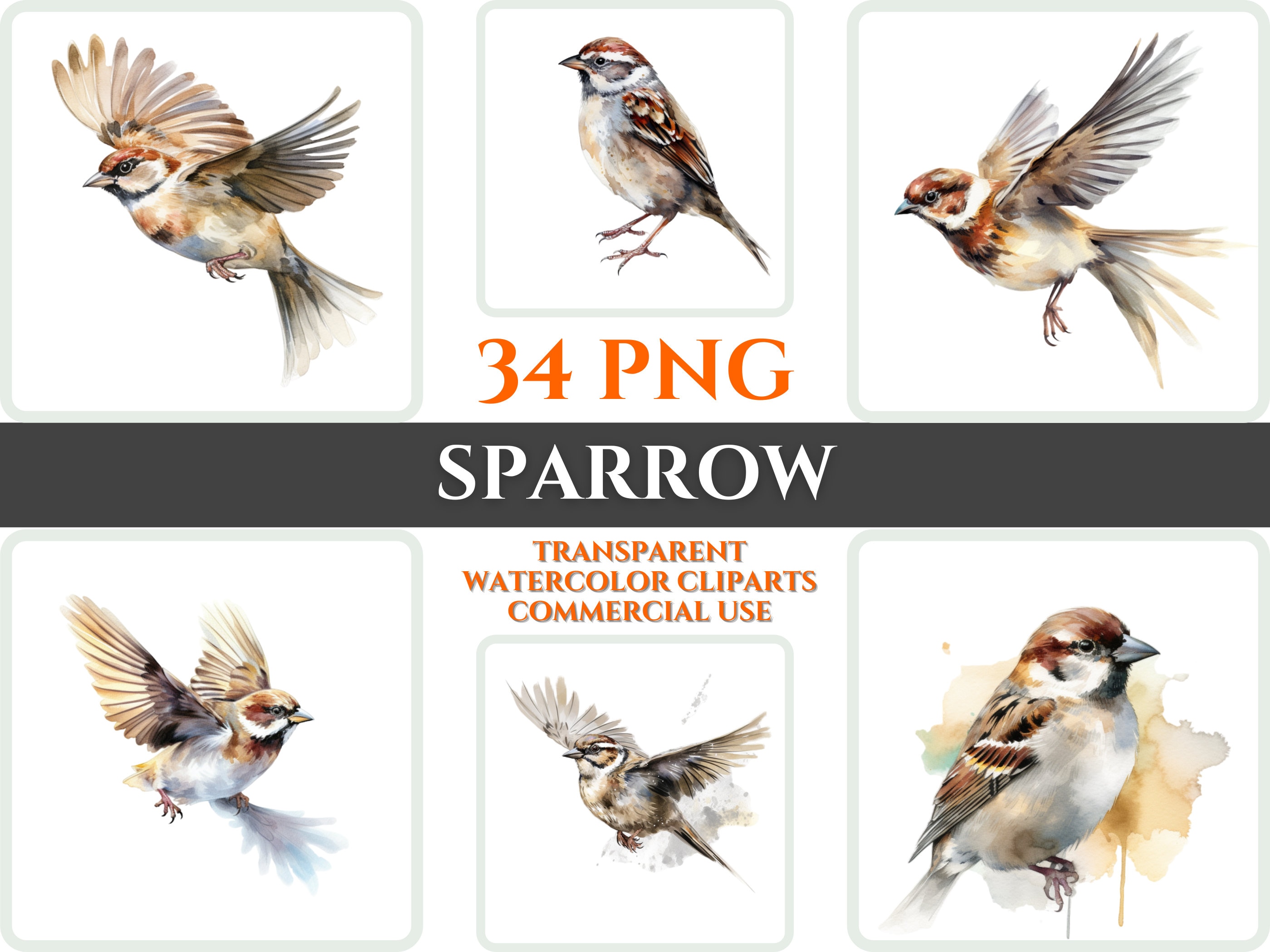 Watercolor Sparrow Clipart Bundle, Bird PNG Images (digital Download ...