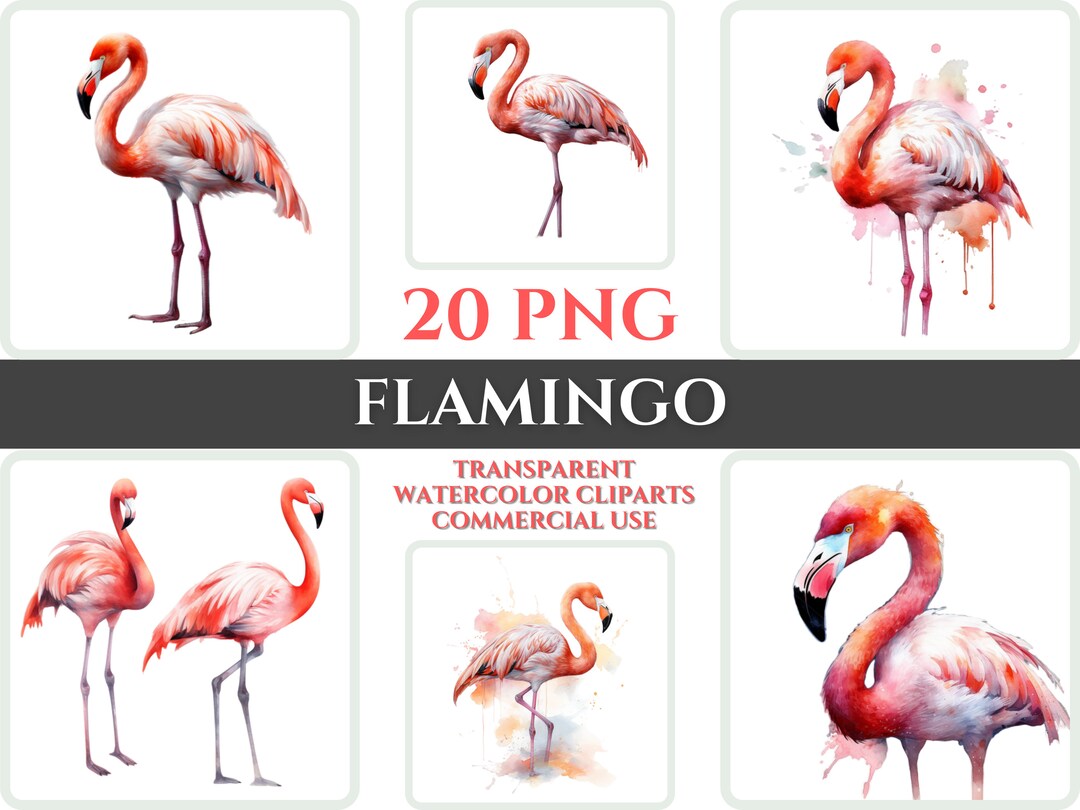 Watercolor Flamingo Clipart Bundle Wallart PNG Flamingo Gift for ...