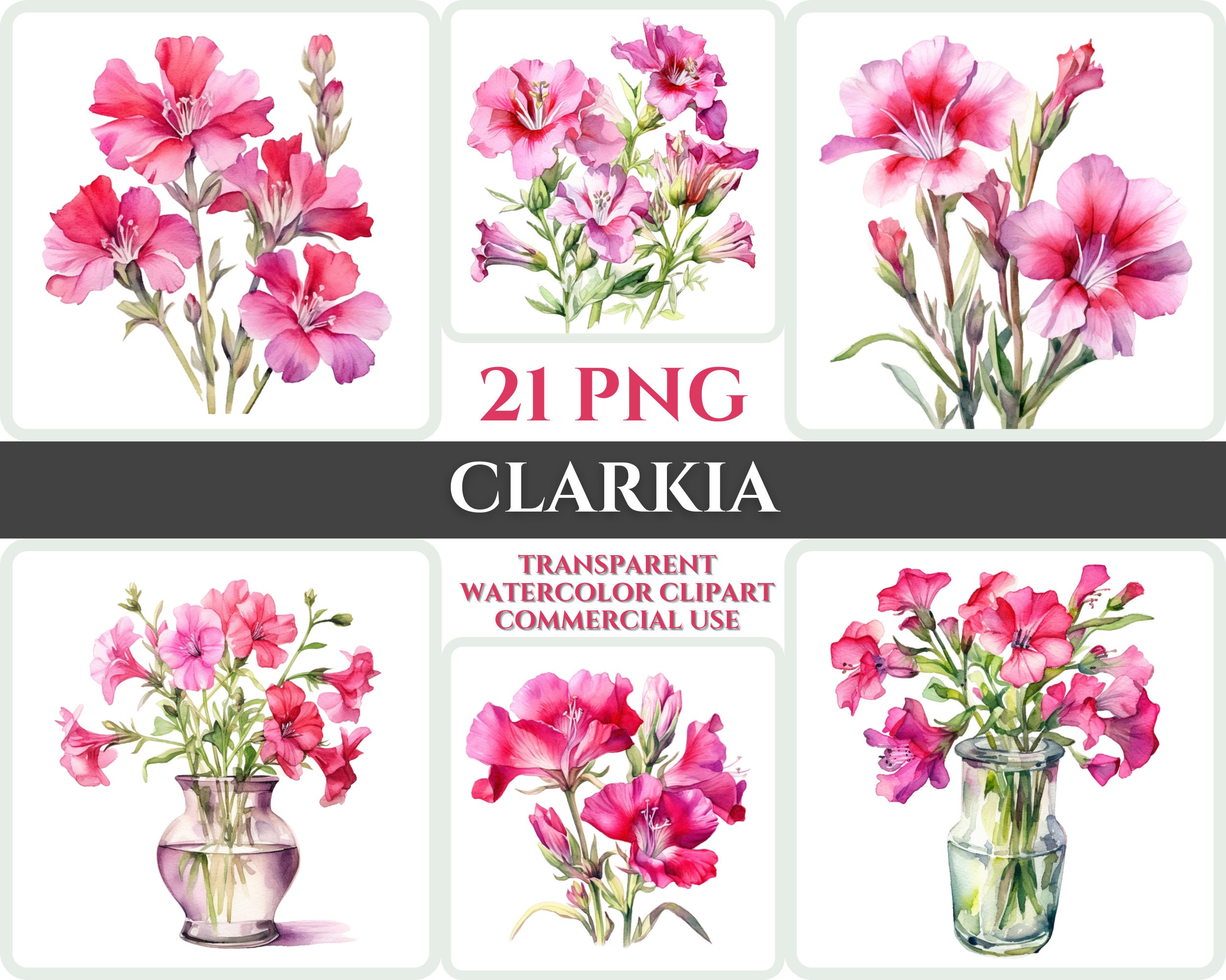 Watercolor Clarkia Clipart: 21 PNG Flower Images (digital Download) - Etsy