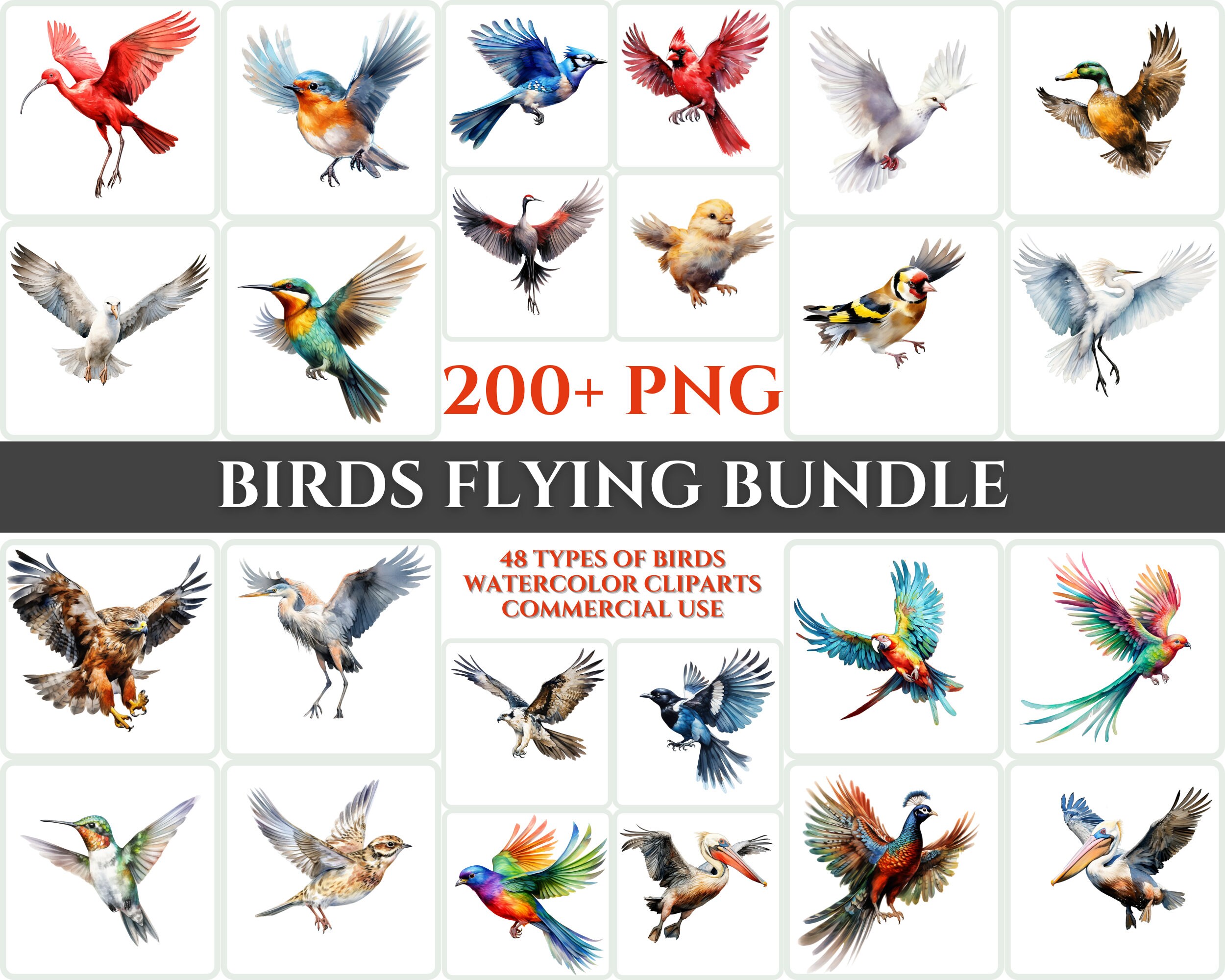 Bird Flying Watercolor Clipart Bundle Majestic Colorful Birds - Etsy