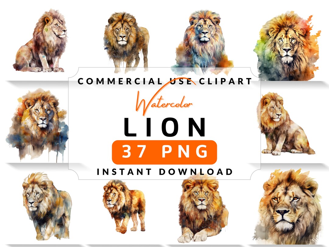 Watercolor Lion Clipart Lion PNG Bundle Lion Wallart Gift for - Etsy
