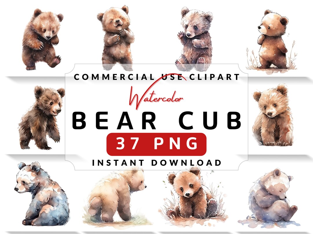 Watercolor Baby Bear Clipart Cute Bear PNG Bundle Bear Wallart - Etsy