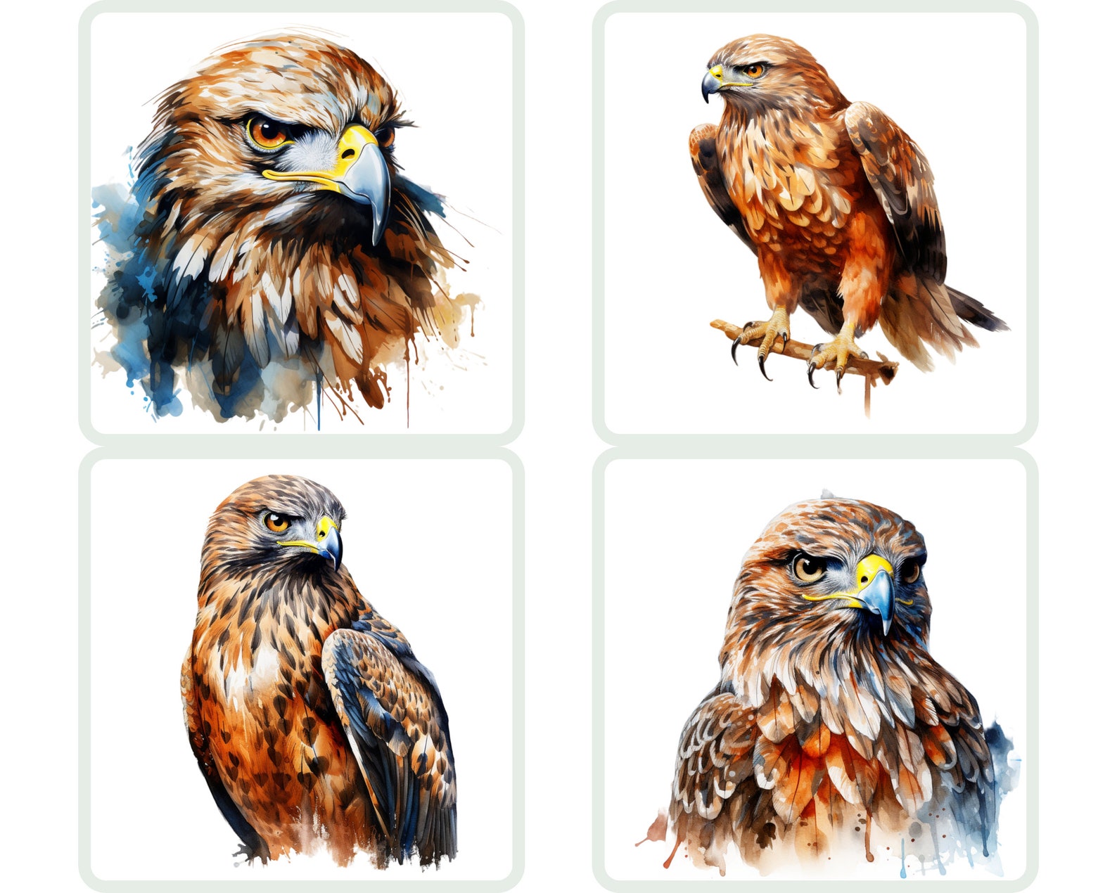 Watercolor Hawk Clipart Majestic Brown Bird Fly Bundle Sublimation PNG ...
