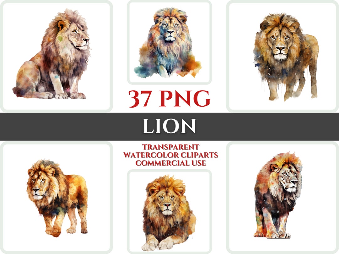 Watercolor Lion Clipart: 37 PNG Lion Illustrations (digital Download ...