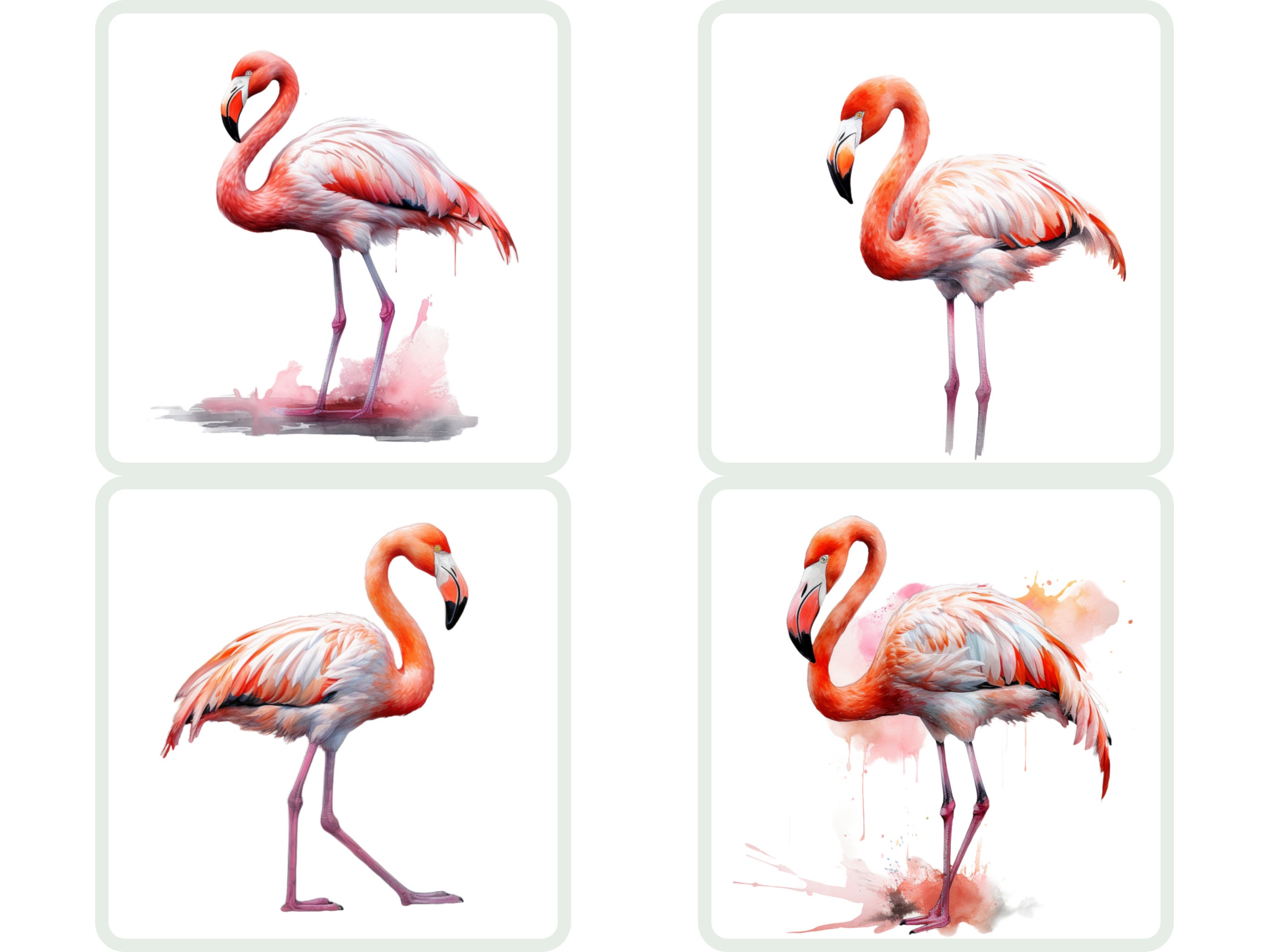 Watercolor Flamingo Clipart Bundle Wallart PNG Flamingo Gift for ...