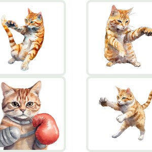 Watercolor Cat Clipart Bundle Cat PNG Cat Lover Gift for Nursery ...