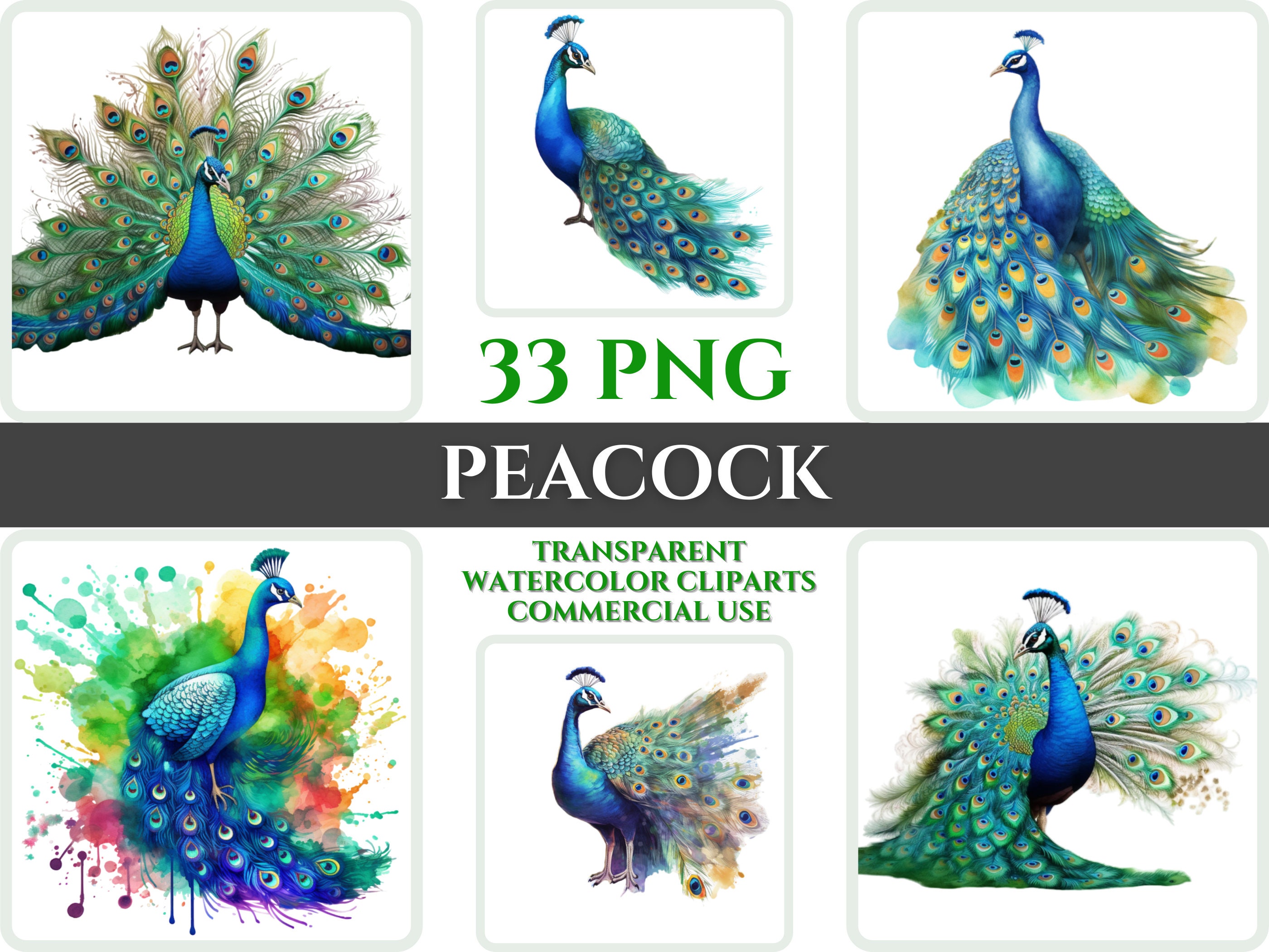 Watercolor Peacock Clipart Bundle Peacock PNG Peacock Gift for Nursery ...