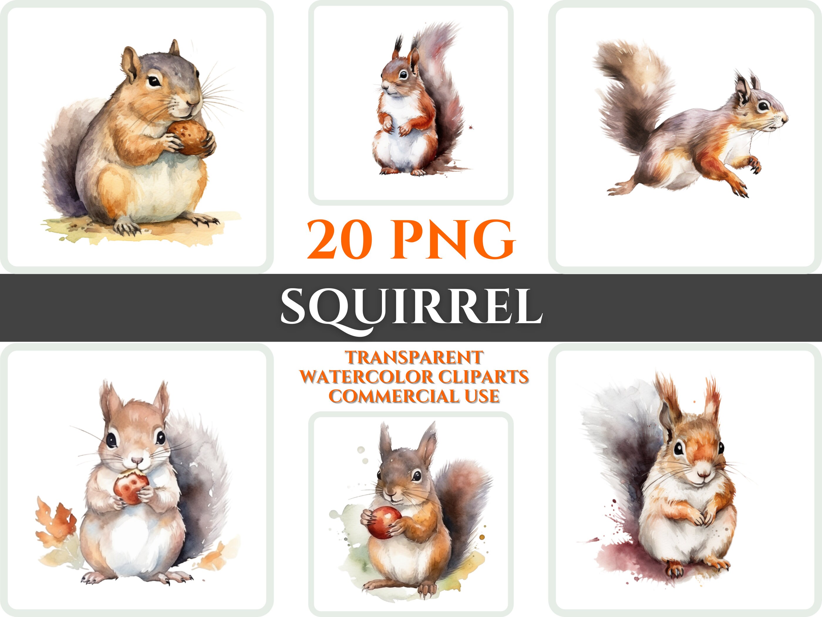 Watercolor Squirrel Clipart Bundle Squirrel PNG Gift for Nursery ...