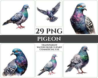 Watercolor Bird Clipart Bundle Set 3 Majestic Colorful Green Orange ...