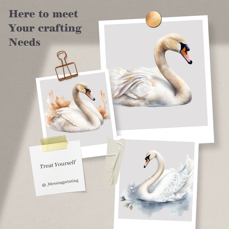 Watercolor Swan Clipart Swan PNG Bundle Swan Wallart Gift for - Etsy