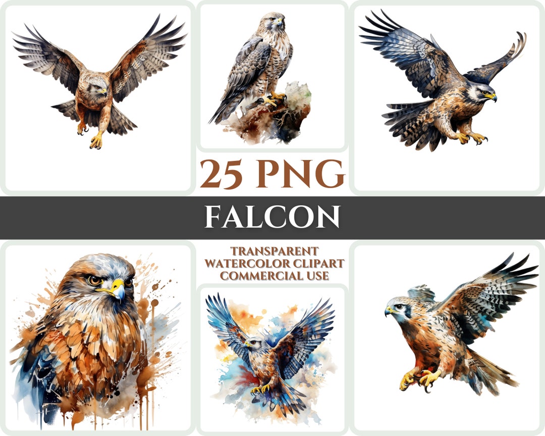 Watercolor Falcon Clipart Majestic Brown Bird Fly Bundle Sublimation ...