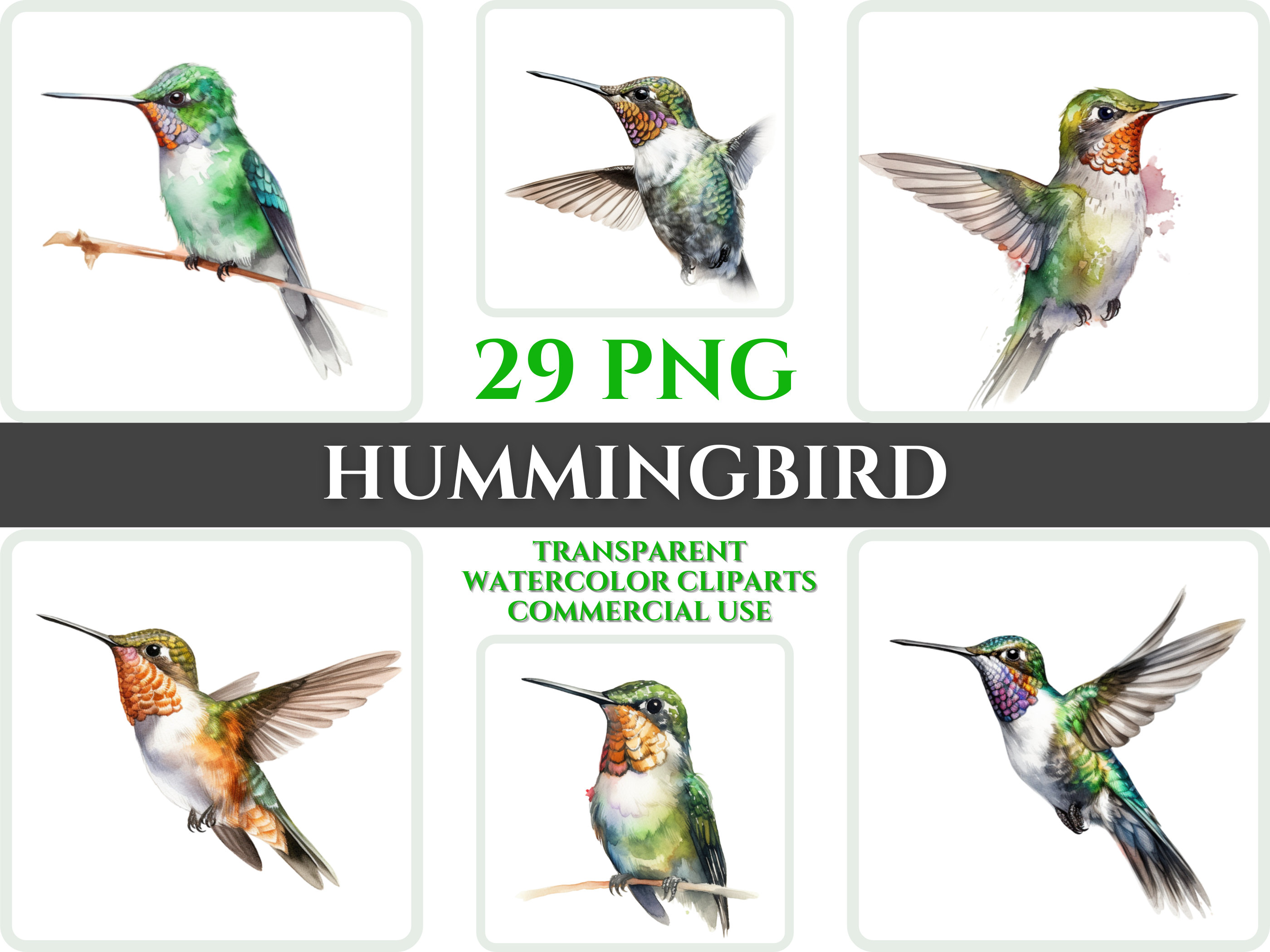 Watercolor Hummingbird Clipart Bundle Hummingbird PNG Gift for Nursery ...