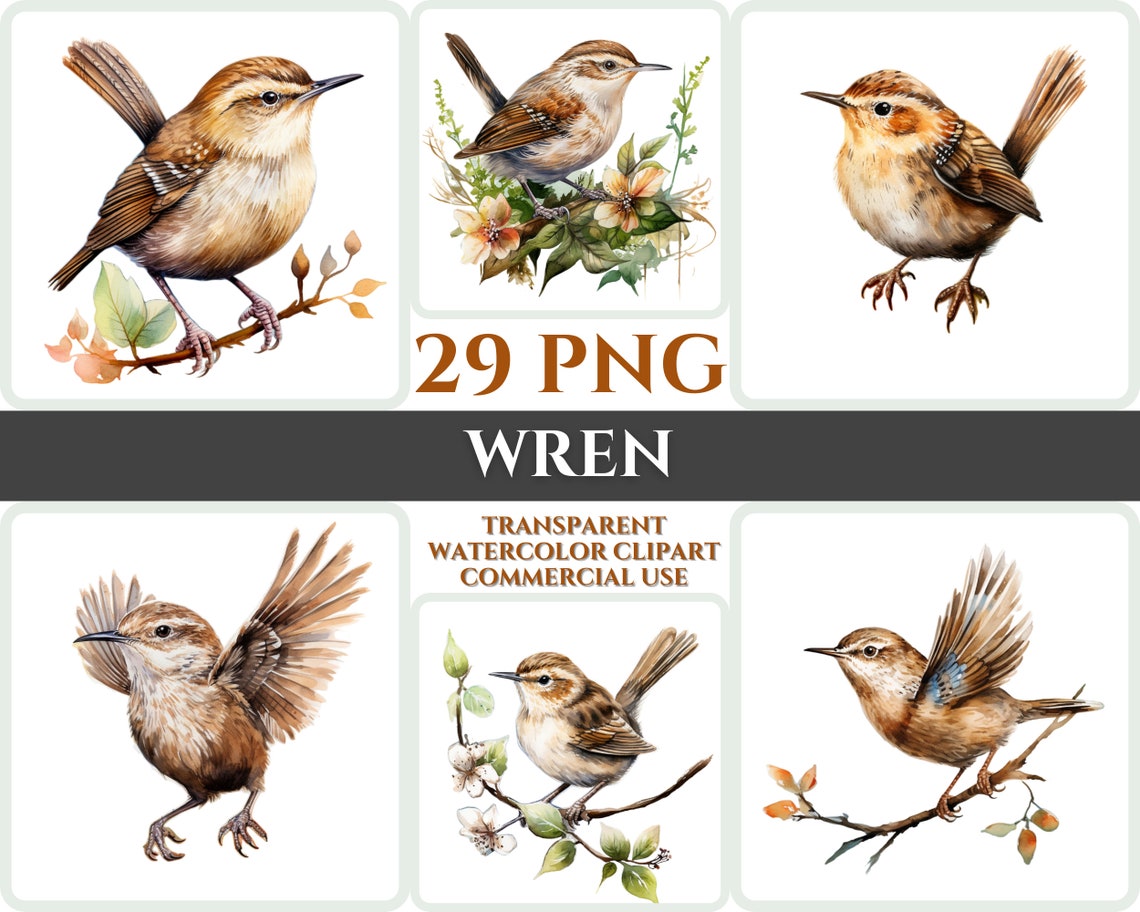 Watercolor Wren Clipart Majestic Brown Bird Fly Bundle - Etsy