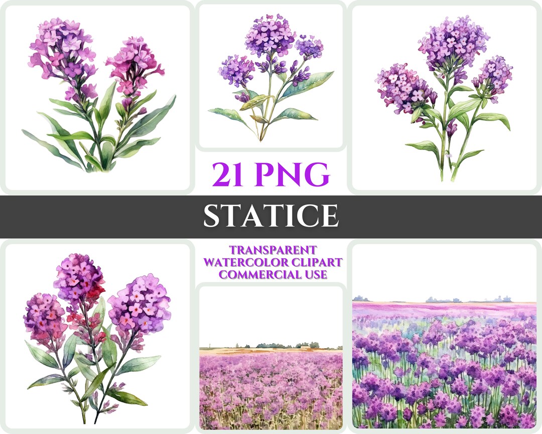 Watercolor Statice Flower Clipart, Romantic Floral PNG (digital ...