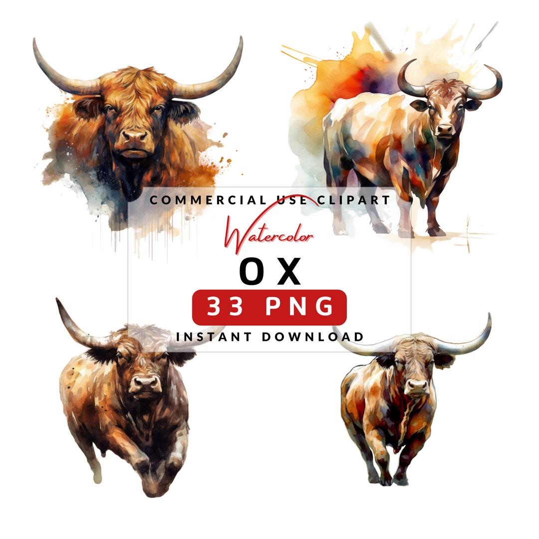 Watercolor Ox Clipart Bundle Wallart PNG Ox Gift for Craft - Etsy