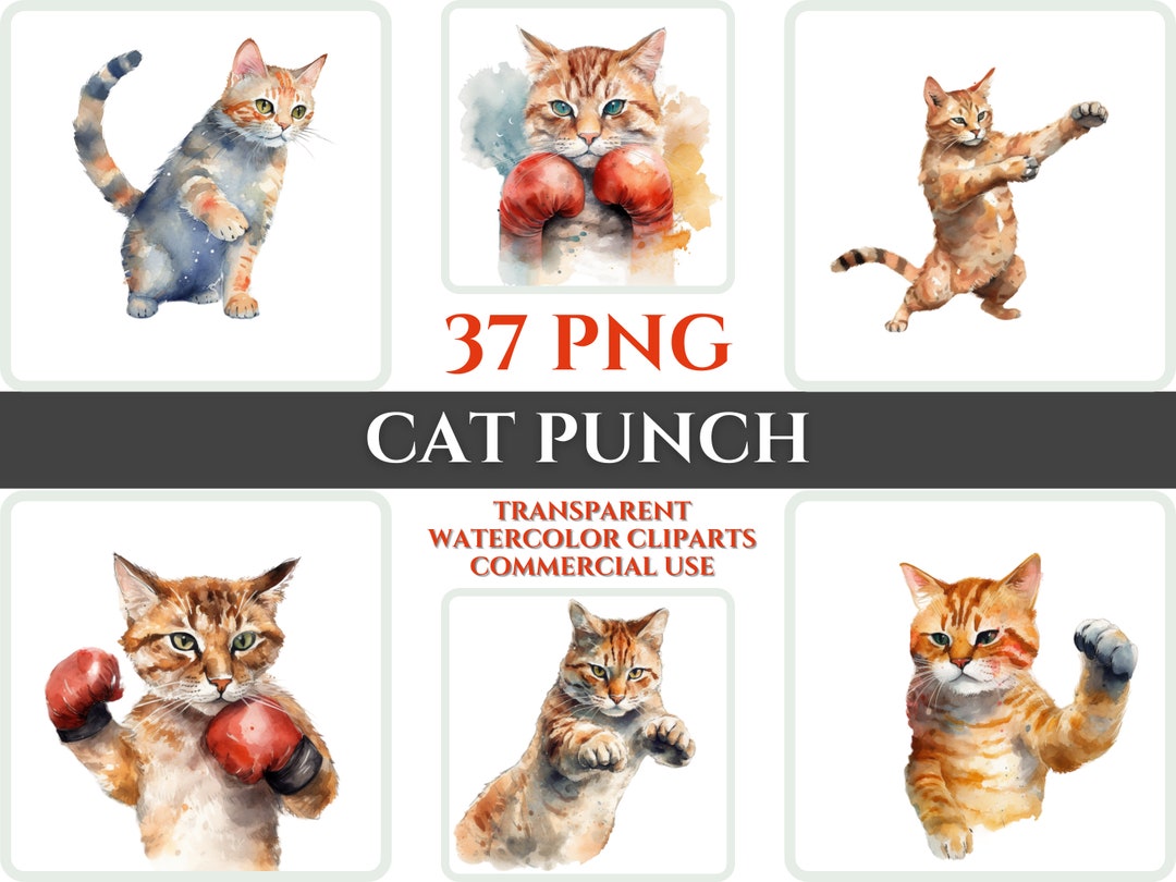 Watercolor Cat Clipart Bundle Cat PNG Cat Lover Gift for Nursery ...