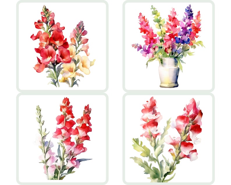 Watercolor Snapdragon Clipart, 21 PNG Floral Images (digital Download ...