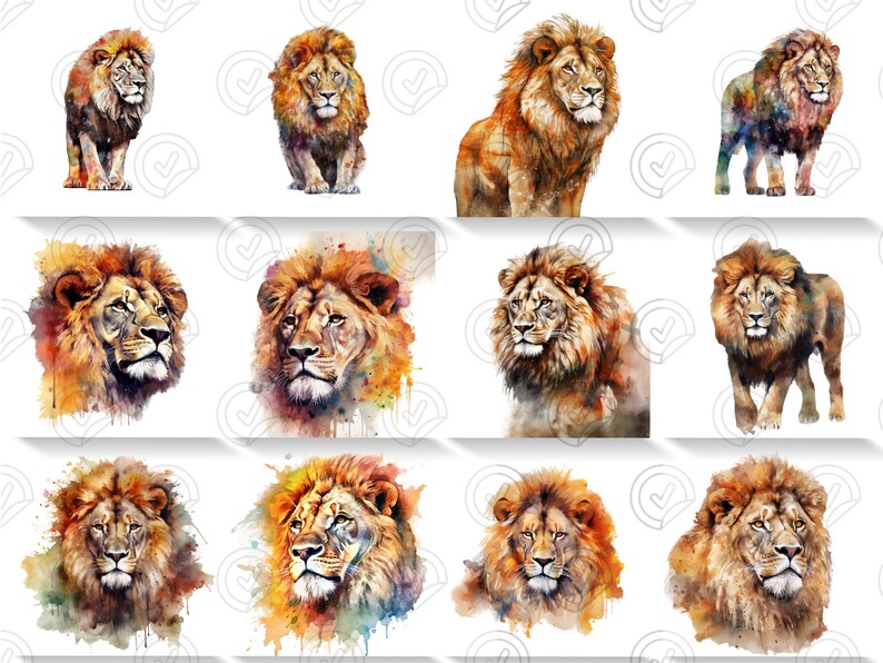 Watercolor Lion Clipart Lion PNG Bundle Lion Wallart Gift for - Etsy