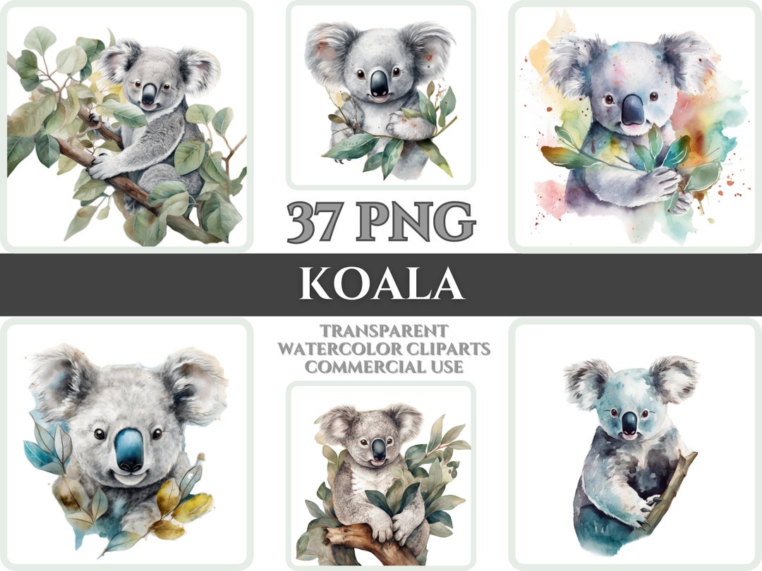 Watercolor Koala Clipart Bundle, Nursery Wall Art (digital Download) - Etsy