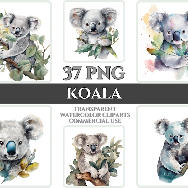 Koala Clipart - Etsy
