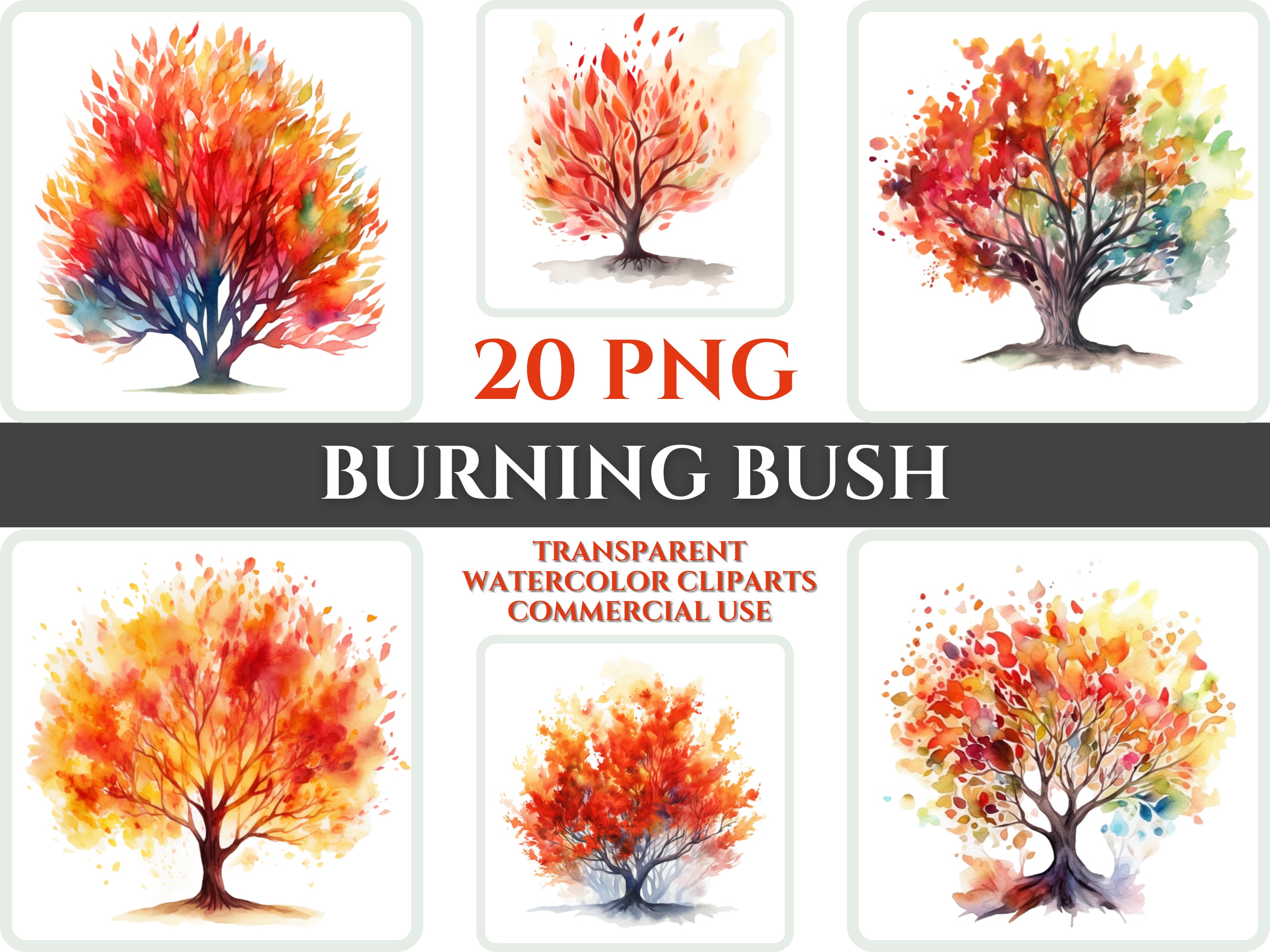 Burning Bush Clip Art