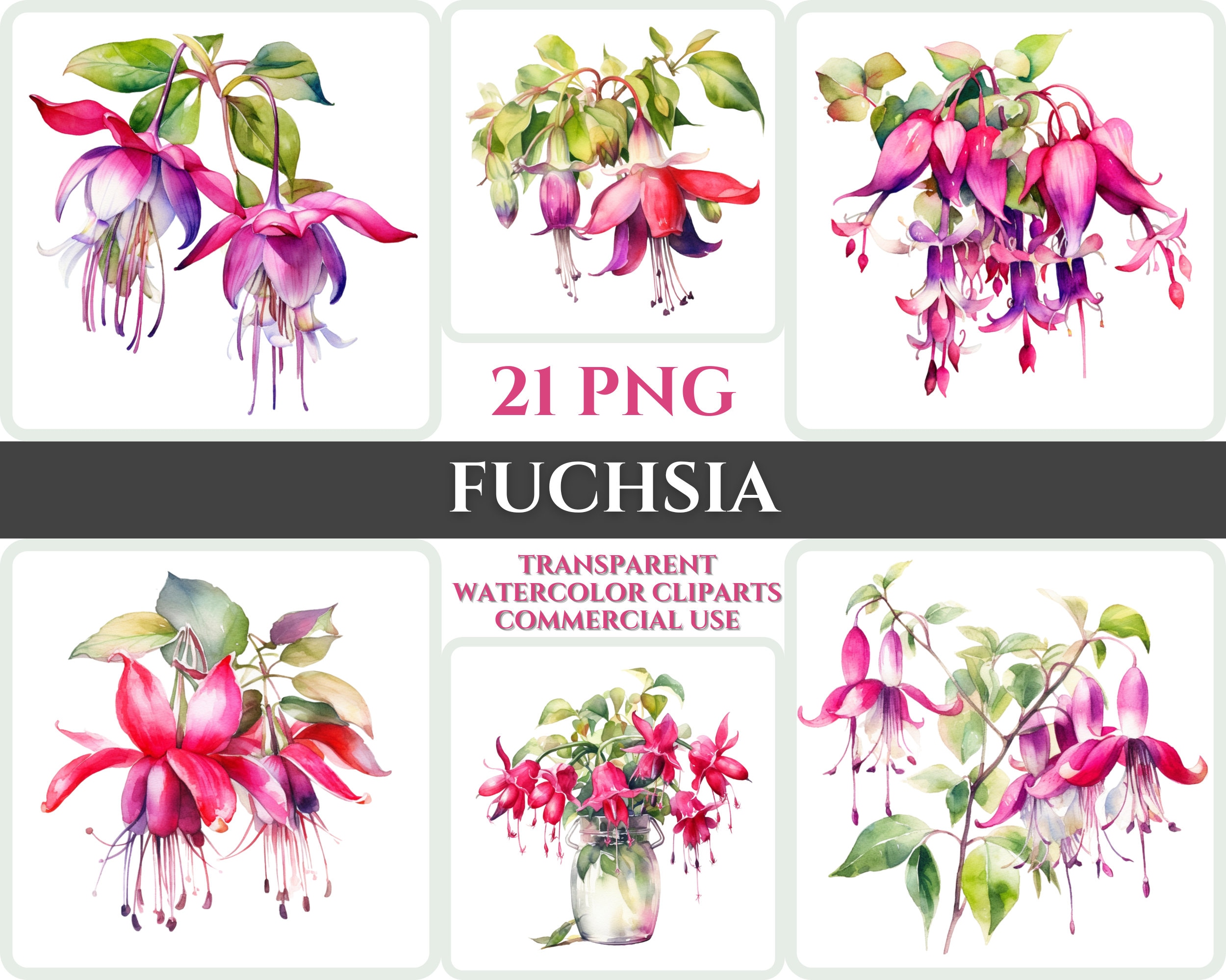Watercolor Fuchsia Flower Clipart, 21 PNG Floral Images (digital ...