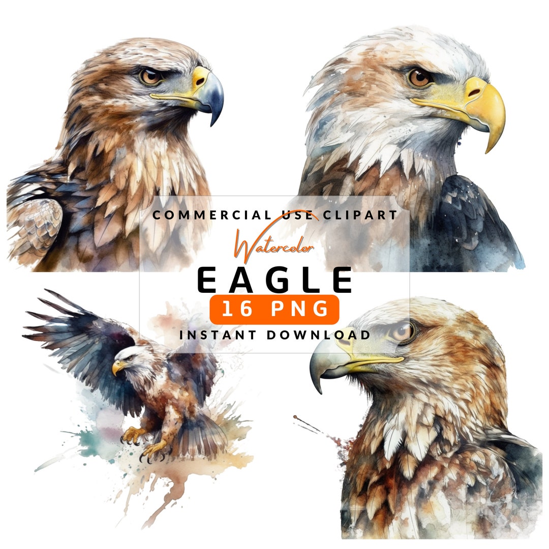 Watercolor Eagle Clipart Bundle Eagle PNG Eagle Gift for - Etsy