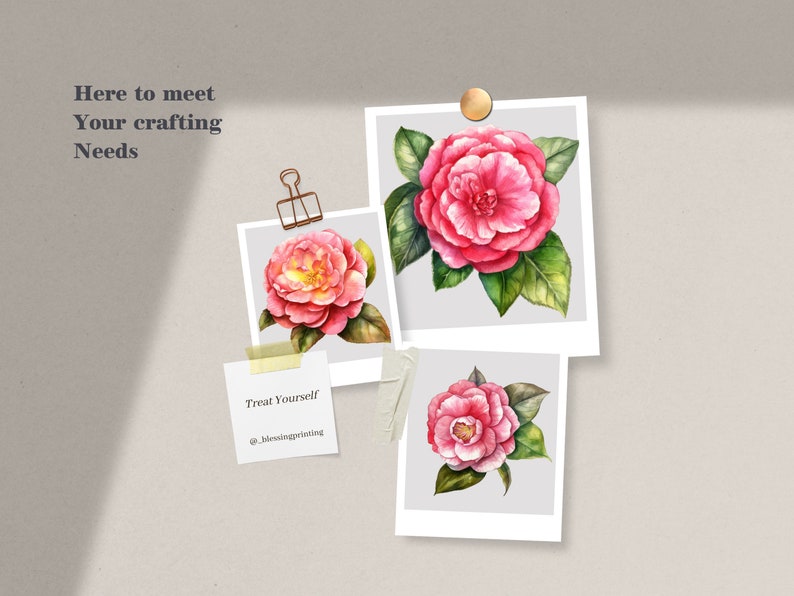 Watercolor Camellia Clipart PNG Flower Blossom Image Romantic - Etsy