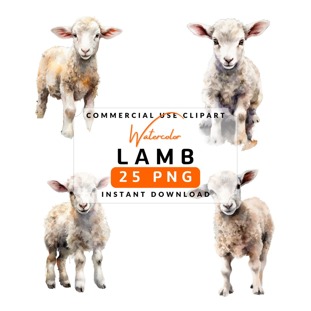 Watercolor Lamb Clipart Lamb PNG Bundle Lamb Wallart Gift for - Etsy