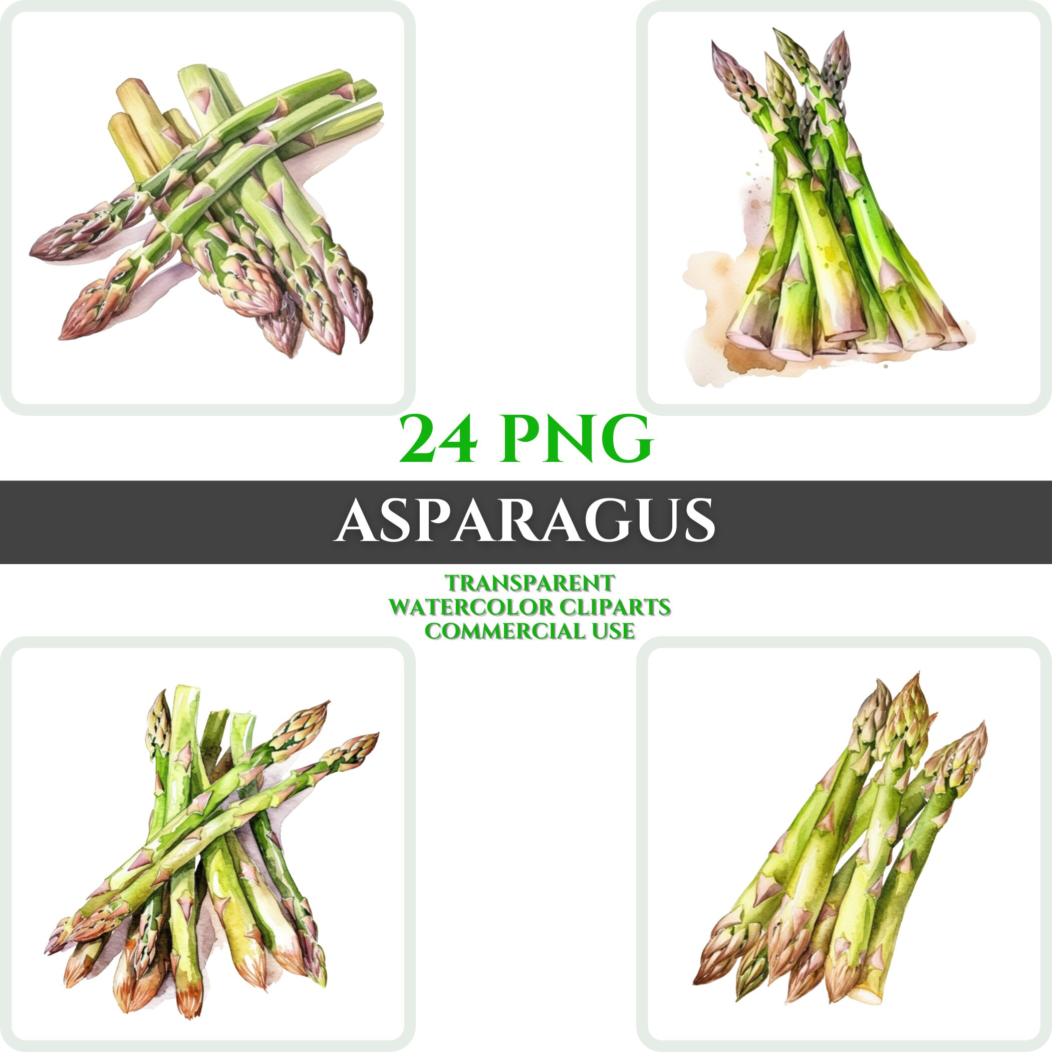 Asparagus Clipart