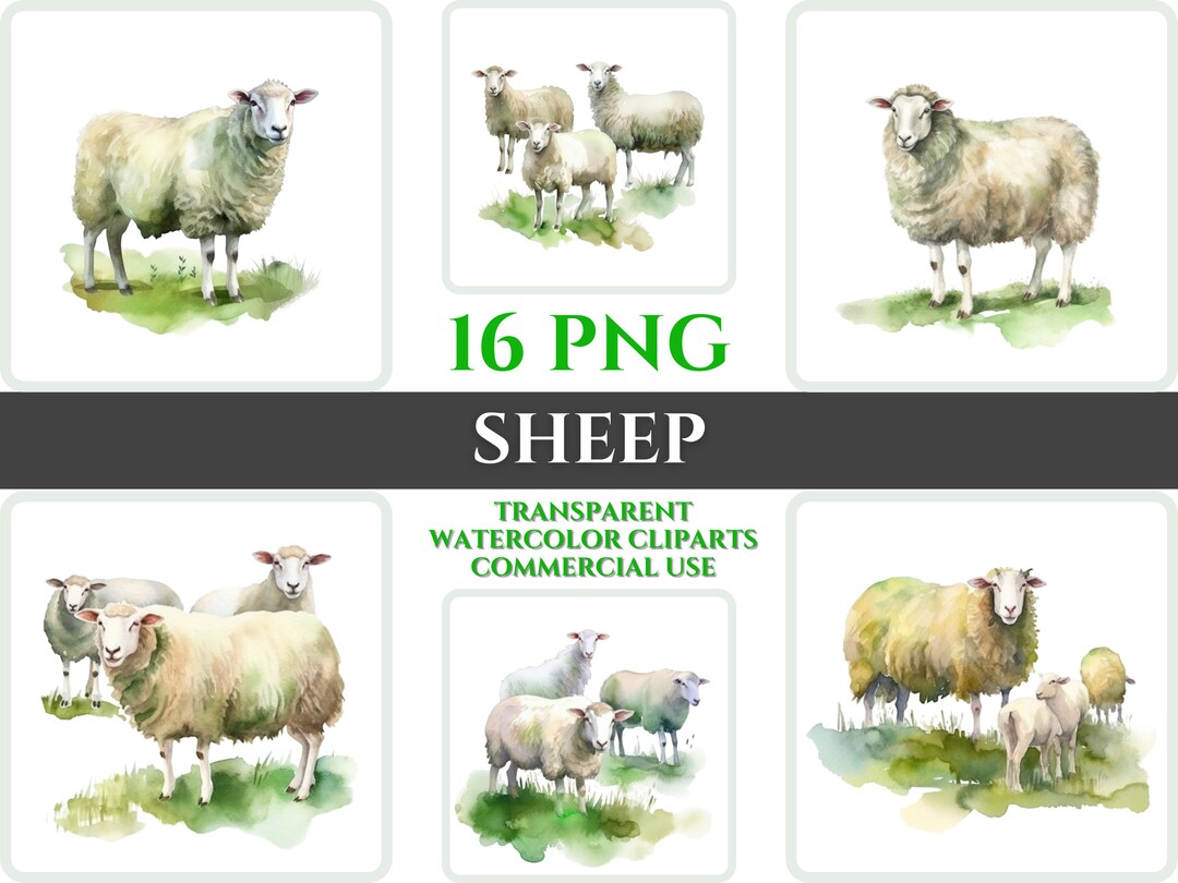 Watercolor Sheep Clipart Bundle Wallart PNG Sheep Gift for Baptism ...