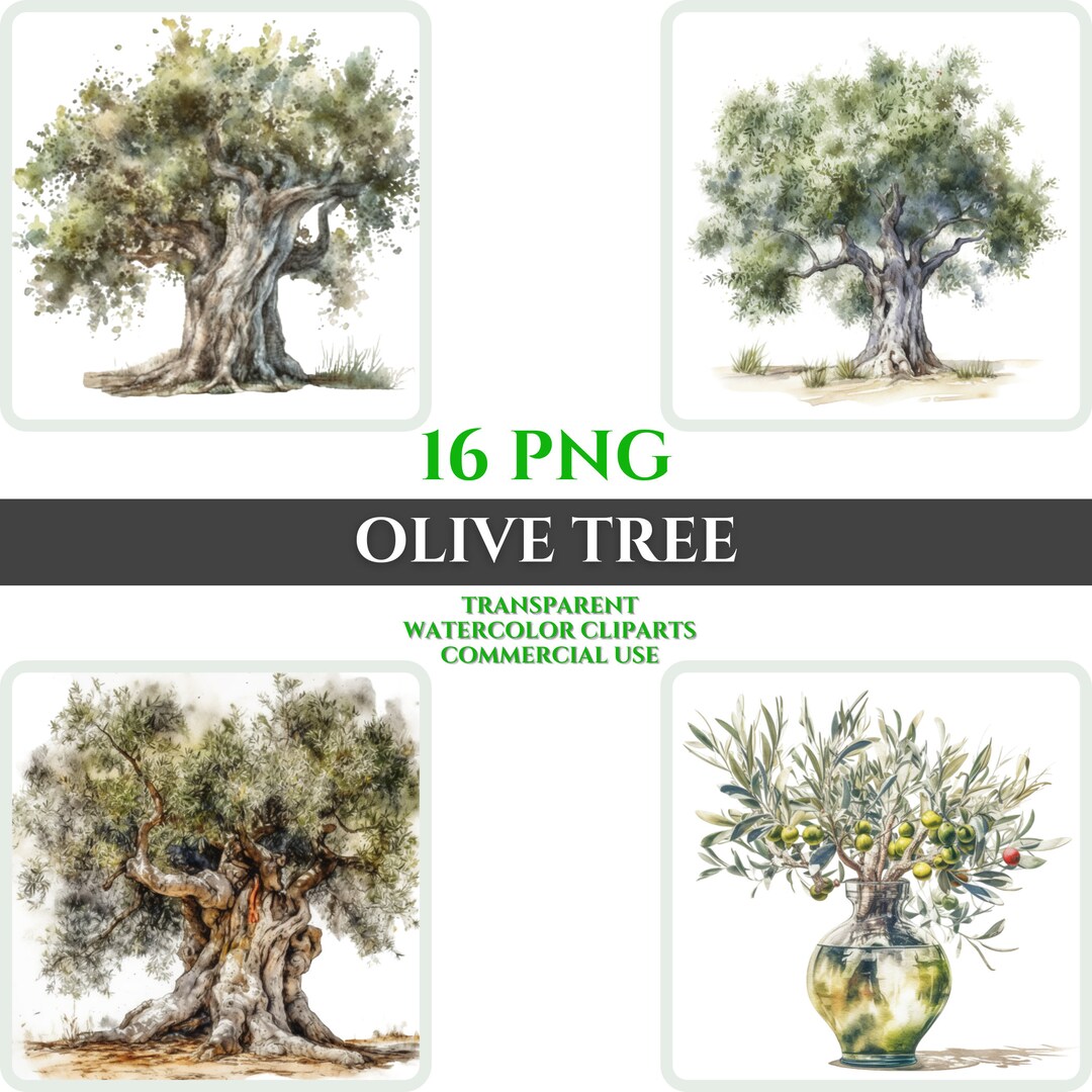 Olive Tree Clipart PNG Watercolor Tree Set Transparent Digital Image ...
