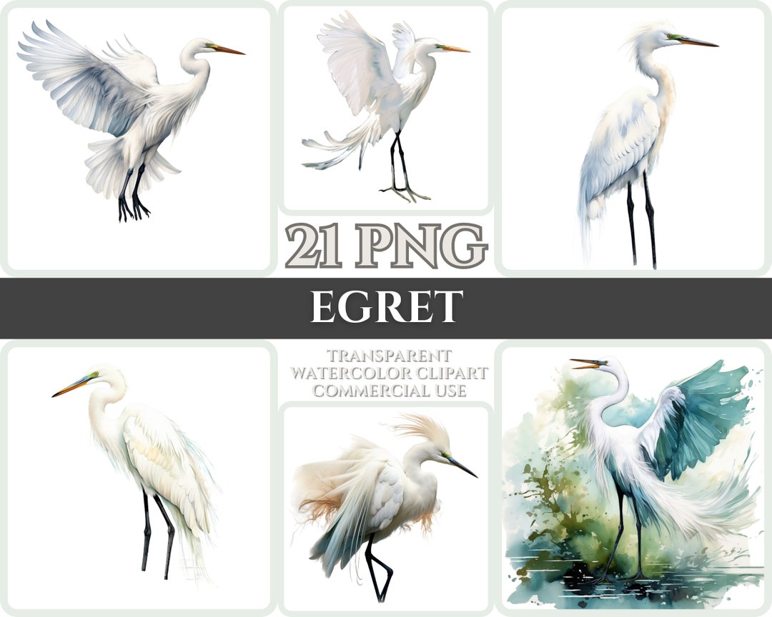 Watercolor Egret Clipart Bundle, White Bird PNG (digital Download) - Etsy