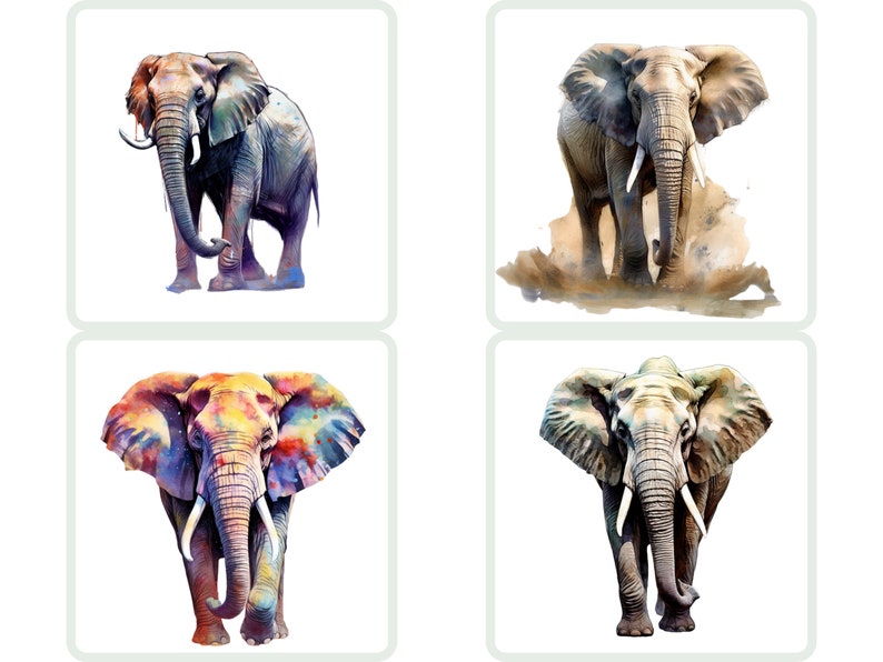 Watercolor Elephant Clipart Set, Transparent PNG Files (digital ...