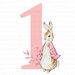 Flopsy Bunny Peter Rabbit Png Sublimation Design Peter - Etsy