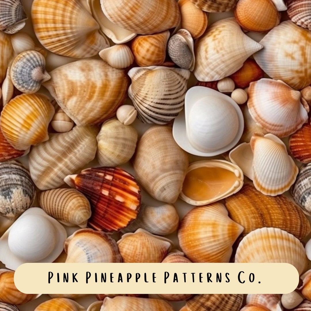 Seamless Shell Pattern, Realistic Shell Pattern, Texture Seamless ...