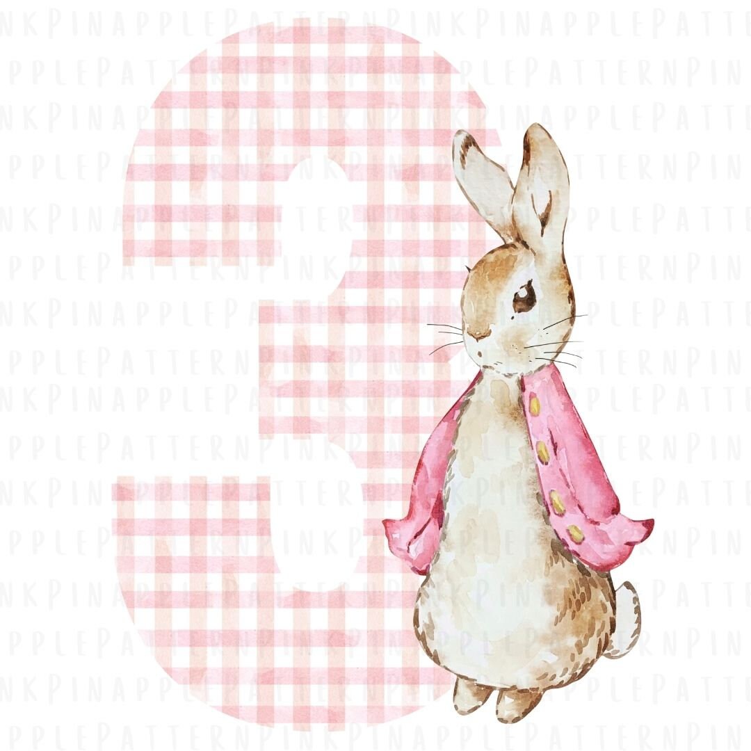 Flopsy Bunny Peter Rabbit Png Sublimation Design Peter - Etsy