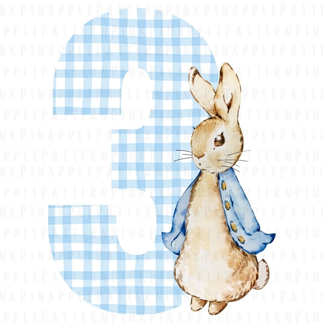 Peter Rabbit Pngsublimation Design Peter Rabbit Clipart - Etsy