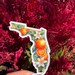 Florida State Outline With Oranges and Orange Blossoms With Clear ...