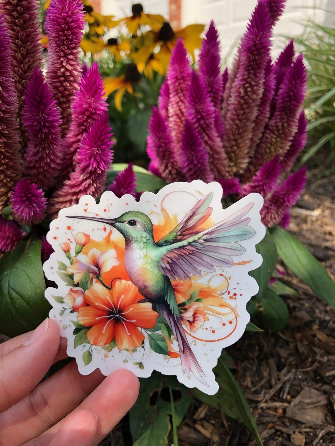 Watercolor Green Hummingbird Clear Background Sticker | Pollinators ...