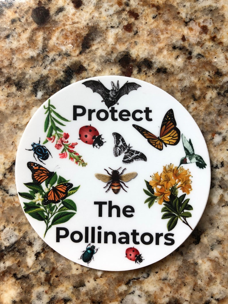 Protect the Pollinators Die Cut Sticker | Save the Bees | Pollinators ...